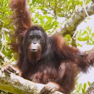 Seeking - games with insects , impregnation ?? | F95zone | Adult Games ...