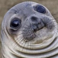 Skyrim Patreon mods | F95zone